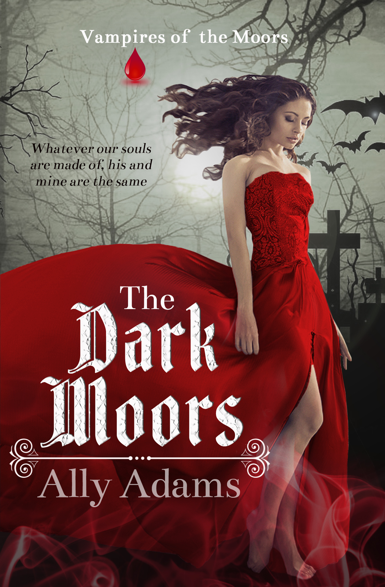 Writing as Ally Adams… The Dark Moors – Helen Goltz
